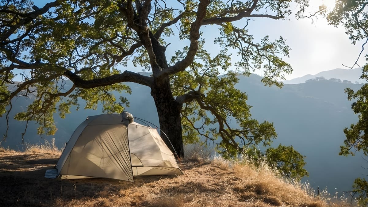 Best Lightweight Backpacking Tents 2026 – Comfort Picks